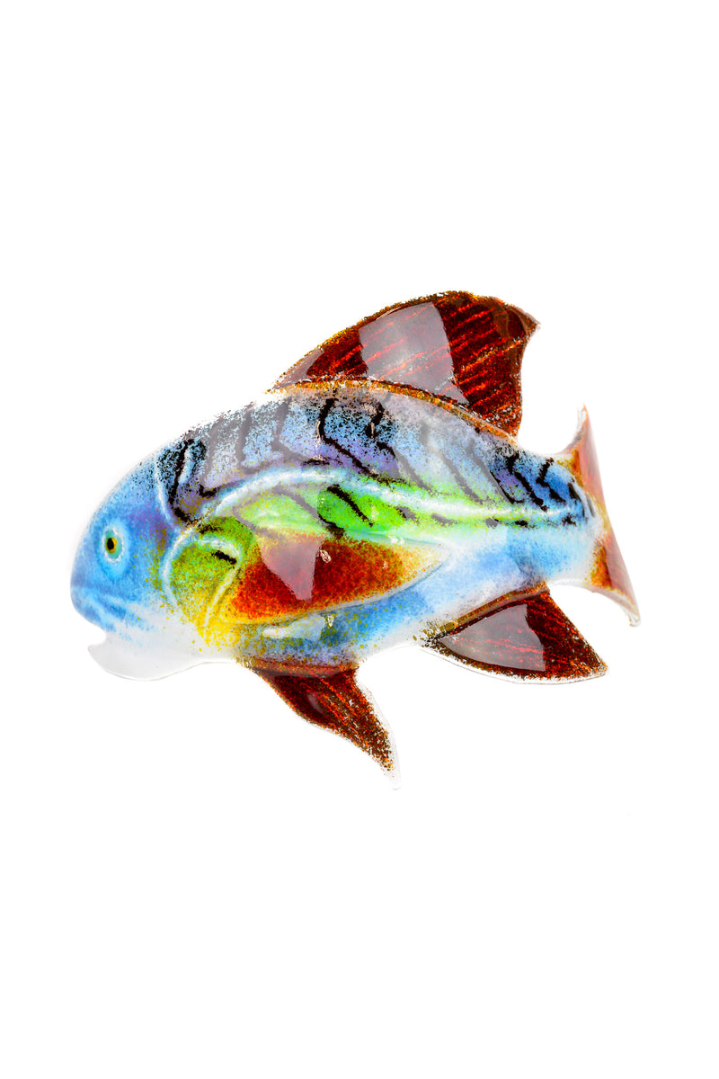 Curved Fish – The Quest Gallery & Images of the North