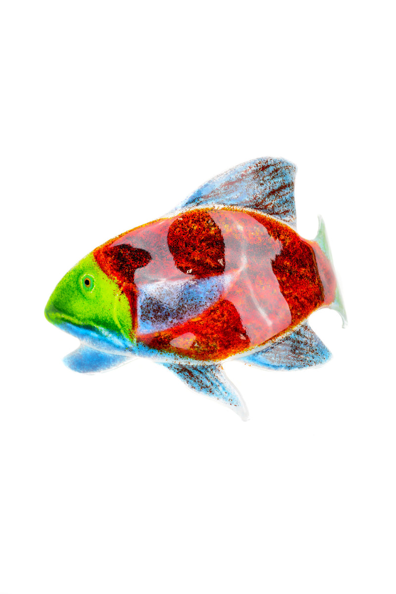 Curved Fish – The Quest Gallery & Images of the North